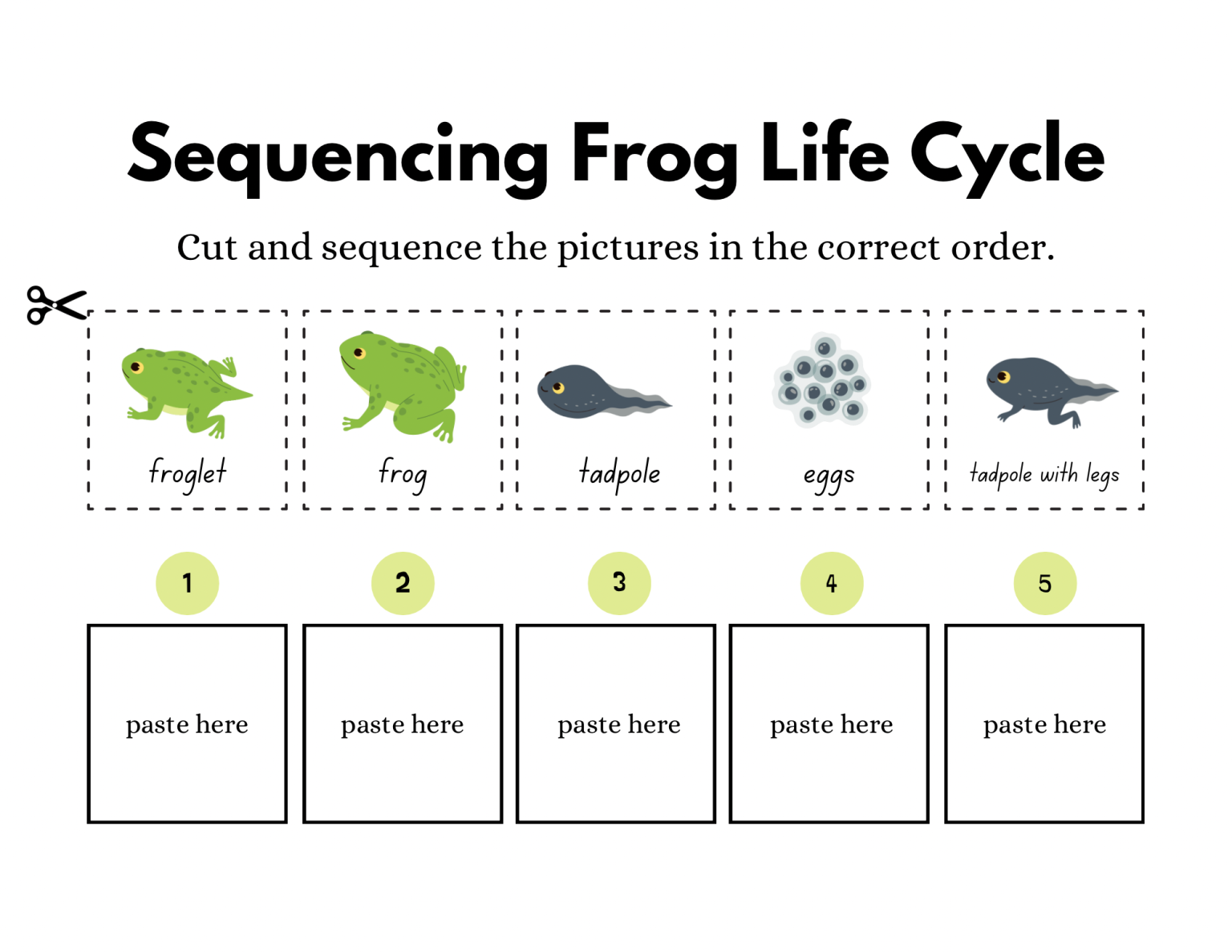 Cut and Paste Frog Life Cycle Sequence Activity – Mommy & Me Arts and ...